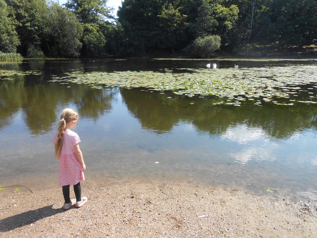 30 Minutes from Chislehurst .... Keston Ponds - Visit Chislehurst
