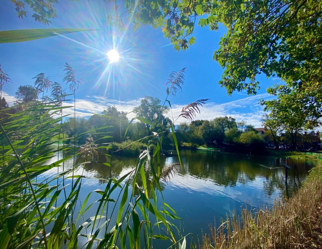 Chislehurst Commons - did you know.........? - Visit Chislehurst