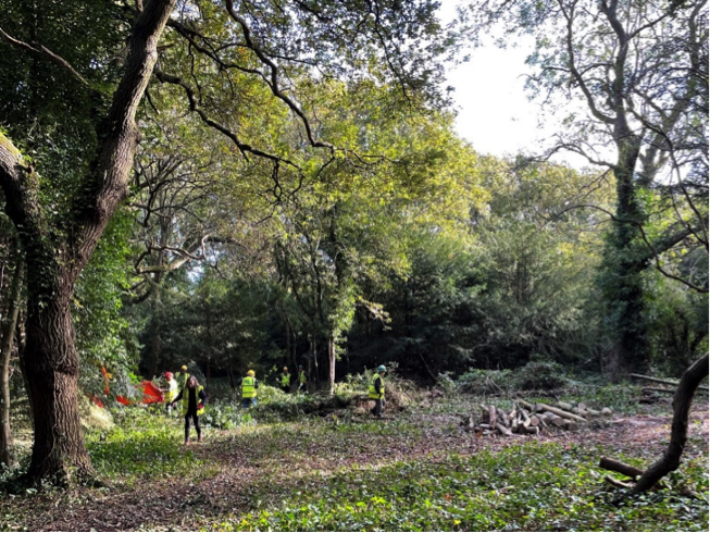 Chislehurst Commons - November 2021 - Visit Chislehurst