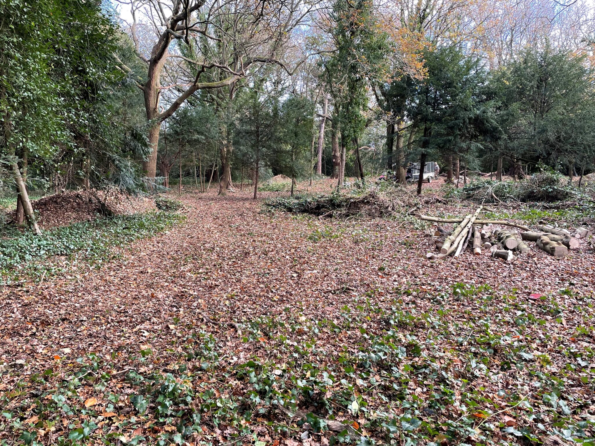 Chislehurst Commons - December - Visit Chislehurst