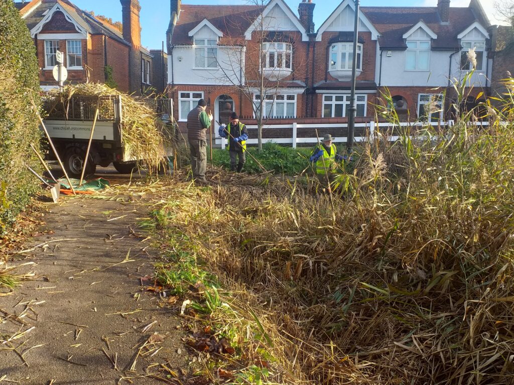 Chislehurst Commons - December - Visit Chislehurst