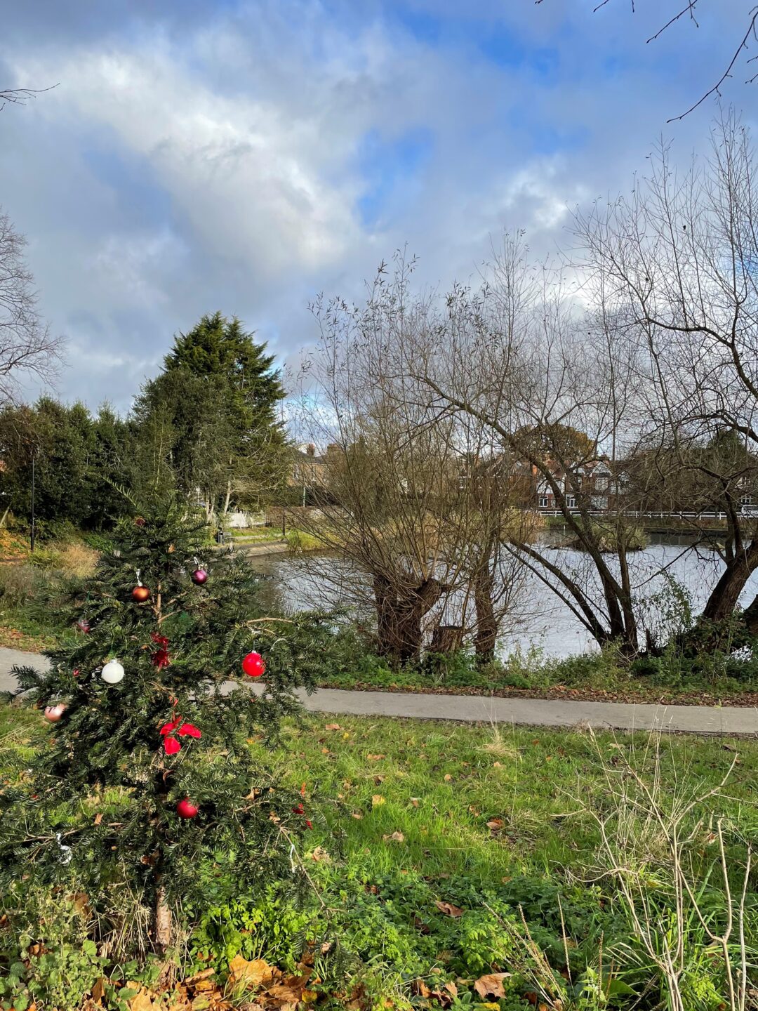 Chislehurst Commons - December - Visit Chislehurst