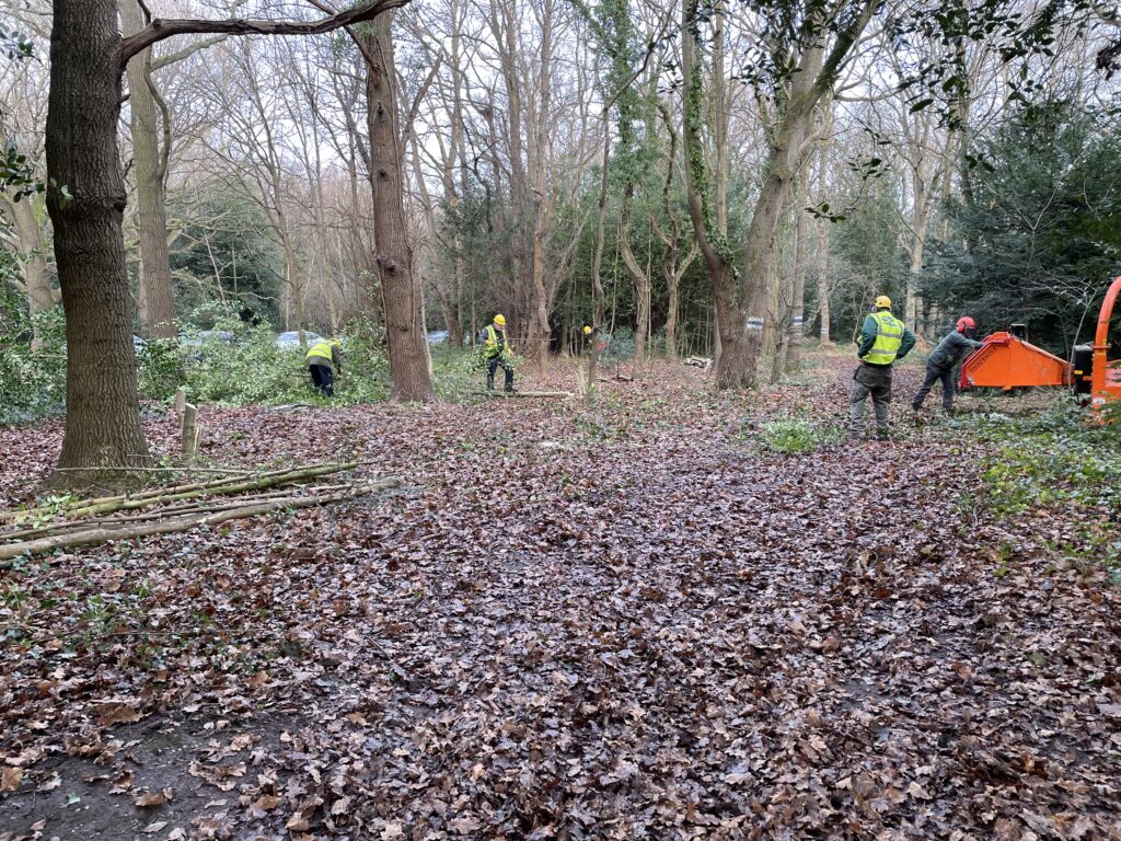 Chislehurst Commons - January Newsletter - Visit Chislehurst