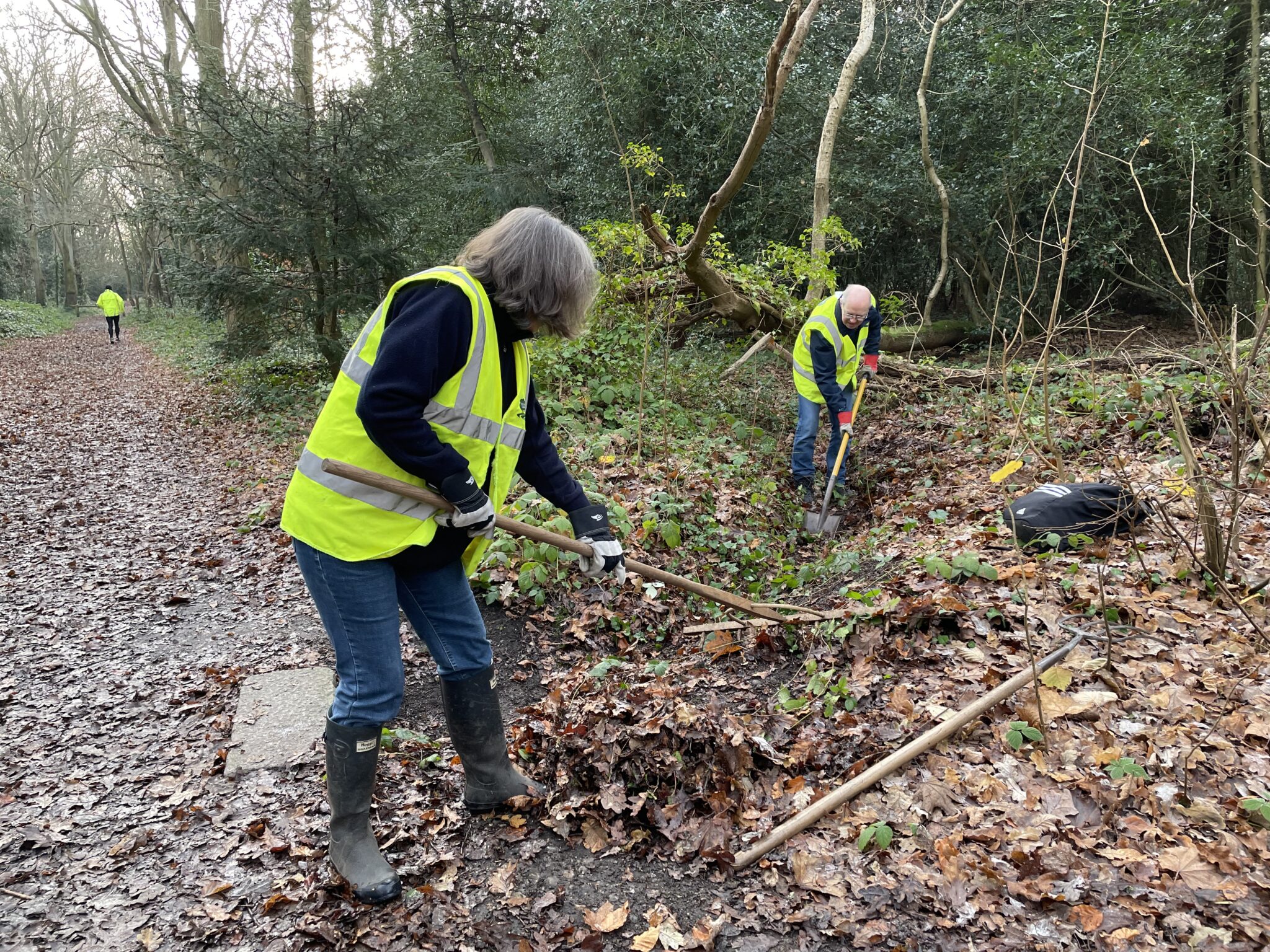 Chislehurst Commons - January Newsletter - Visit Chislehurst