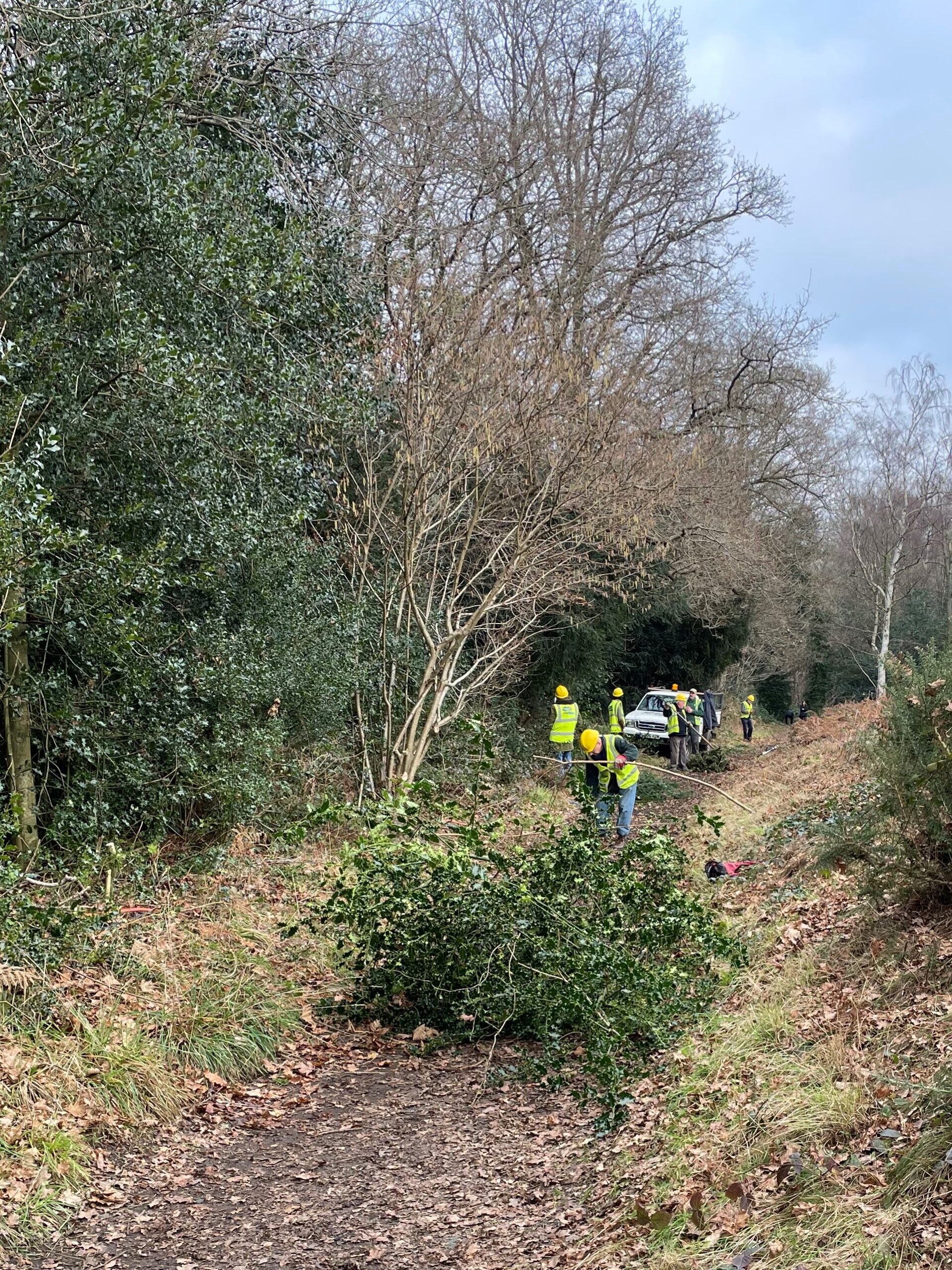 Chislehurst Commons - February Newsletter 2022 - Visit Chislehurst