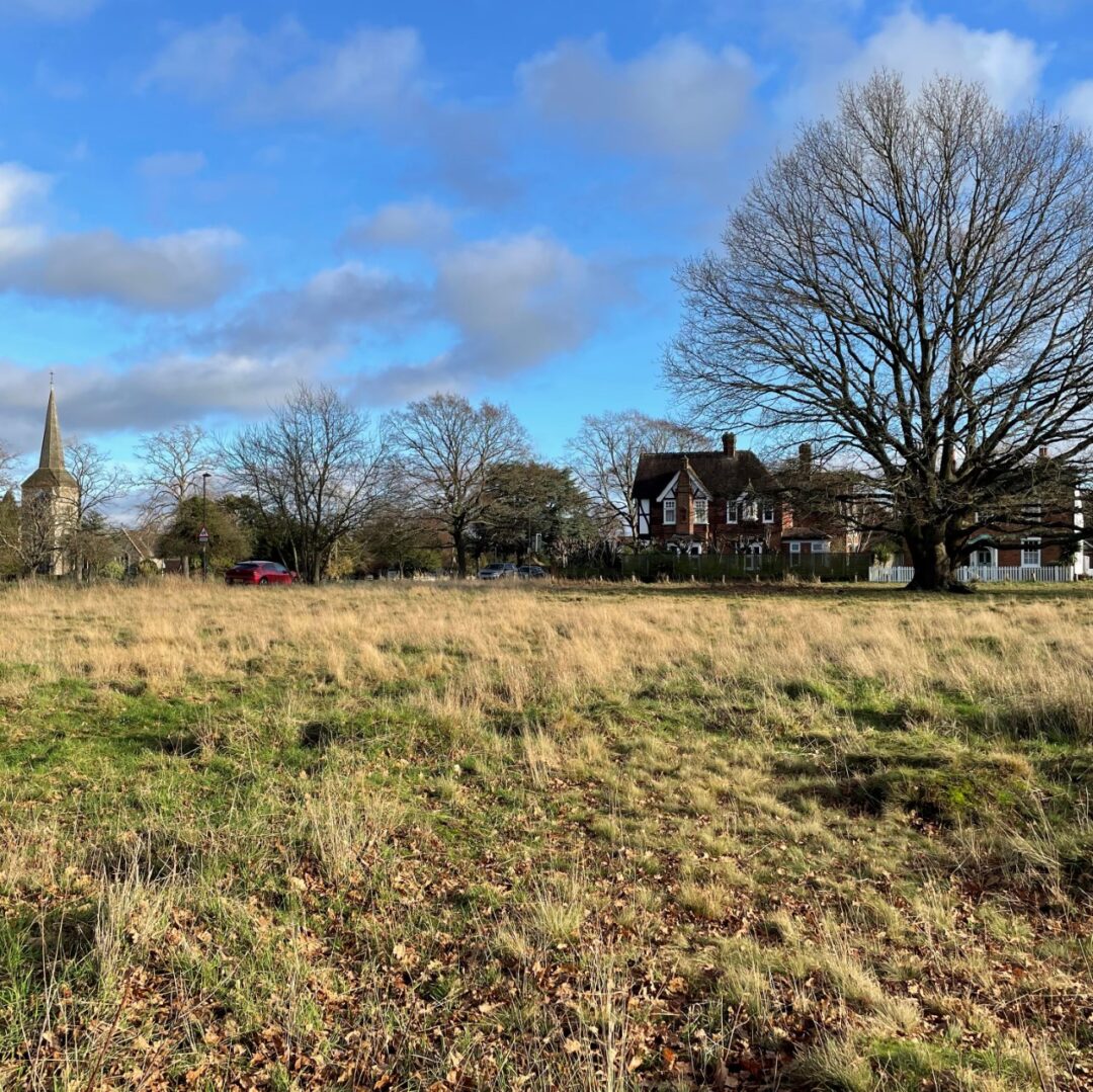 Chislehurst Commons - did you know.........? - Visit Chislehurst